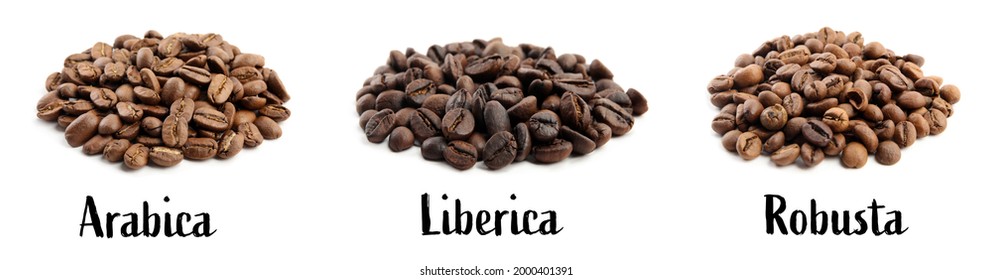 Set Different Types Coffee Beans On Stock Photo 2000401391 | Shutterstock