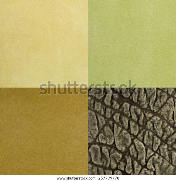 Set Green Leather Samples Texture Background Stock Photo 257799778 ...