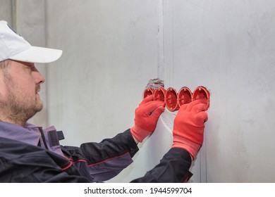 Set Plastic Inserts Red Blue Sockets Stock Photo 1944599704 | Shutterstock