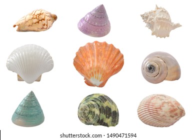 113,190 Sea elements Stock Photos, Images & Photography | Shutterstock