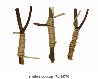 Set String Branches Isolated On White Stock Photo 71484790 | Shutterstock