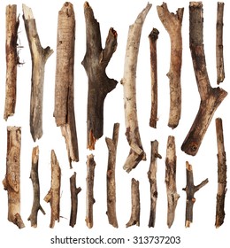 235,016 Tree sticks Images, Stock Photos & Vectors | Shutterstock