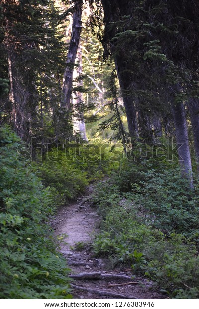 Setting Sun Creates Shadows On Pathway Stock Photo 1276383946 ...