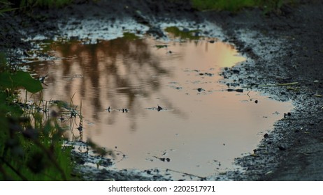Setting Sun Reflected Mud Puddle Ripples Stock Photo 2202517971 ...