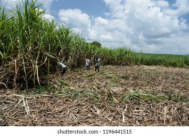 10 Sevanagala Images, Stock Photos & Vectors | Shutterstock