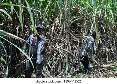 Sevanagala Sri Lanaka March 30 2018 Stock Photo 1196441521 | Shutterstock