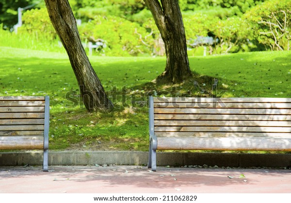 Shade Tree Bench Stock Photo 211062829 | Shutterstock