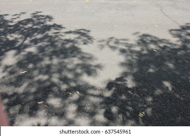 28,834 Tree shadow on floor Images, Stock Photos & Vectors | Shutterstock