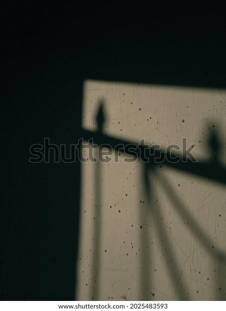 Shadow Behind Gate Sunlight Stock Photo 2025483593 | Shutterstock