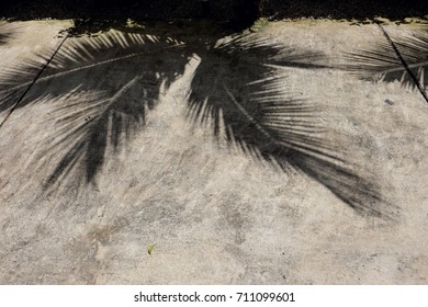 28,834 Tree shadow on floor Images, Stock Photos & Vectors | Shutterstock