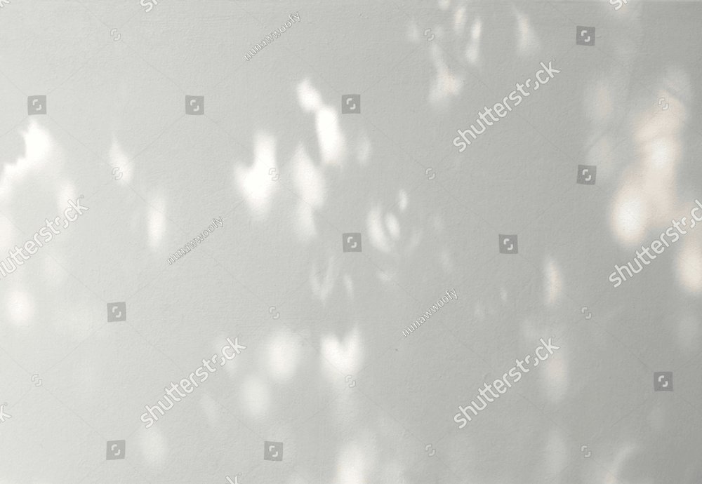 Shadow and light of leaves reflection on concrete wall, shadows overlay ...