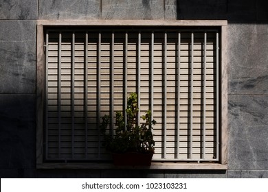 Shadow On Window Stock Photo 1023103231 | Shutterstock