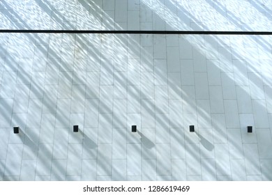 Shadow Patterns On White Wall Stock Photo 1286619469 | Shutterstock