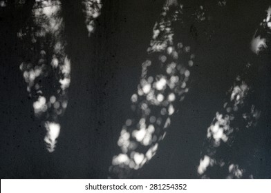 17,685 Dappled light texture Images, Stock Photos & Vectors | Shutterstock