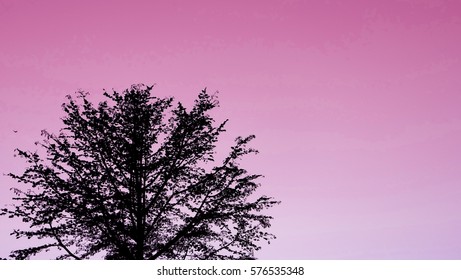 Shadow Tree Pink Background Stock Photo 576535348 | Shutterstock