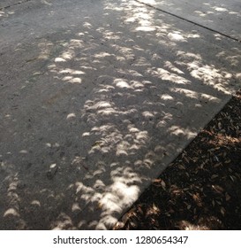 Shadows During Solar Eclipse Stock Photo 1280654347 | Shutterstock