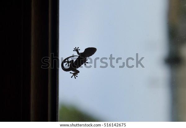 Shape Small Gecko On Window Stock Photo 516142675 | Shutterstock