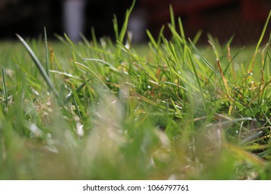 Stock Photo and Image Portfolio by Pasani Dharmasena | Shutterstock