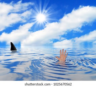 Shark Infested Waters Stock Photo 1025670562 | Shutterstock
