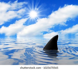 Shark Infested Waters Stock Photo 1025670565 | Shutterstock