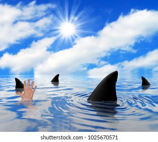 Shark Infested Waters Stock Photo 1025670571 | Shutterstock