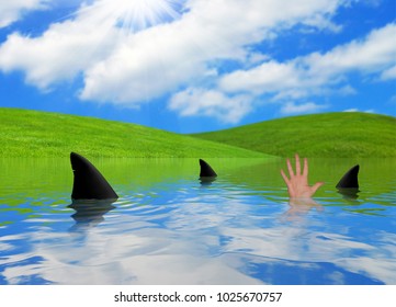 Shark Infested Waters Stock Photo 1025670757 | Shutterstock