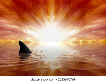 Shark Infested Waters Stock Photo 1025670769 | Shutterstock