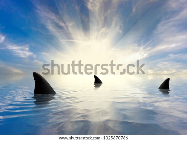 Shark Infested Waters Stock Photo (Edit Now) 1025670766