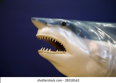 Shark Model Stock Photo 28518163 | Shutterstock