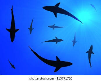 2,172 Shark shadow Images, Stock Photos & Vectors | Shutterstock
