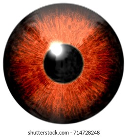Red Eye Pupil Retina Close Illustration: ilustrações stock 1504061201 ...