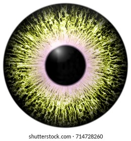 Sharp Attractive Deep Eye Texture Stock Photo (Edit Now) 714728260