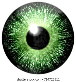 Sharp Attractive Deep Eye Texture Stock Photo 714728311 | Shutterstock