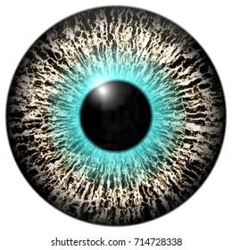 Sharp Attractive Deep Eye Texture Stock Photo 714728338 | Shutterstock