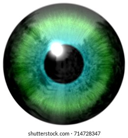 Sharp Attractive Deep Eye Texture Stock Photo 714728131 | Shutterstock