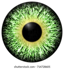 Sharp Attractive Deep Eye Texture Stock Photo 714728605 | Shutterstock