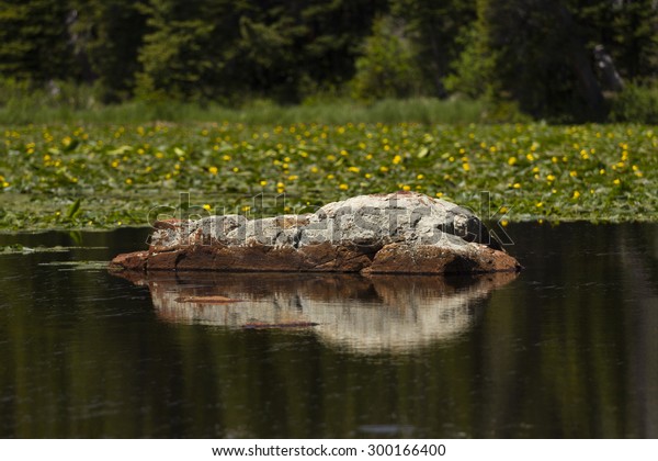 Sharp Serene Reflection Boulder Quiet Waters Stock Photo (Edit Now ...