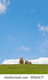 57,966 Sheep blue sky Images, Stock Photos & Vectors | Shutterstock