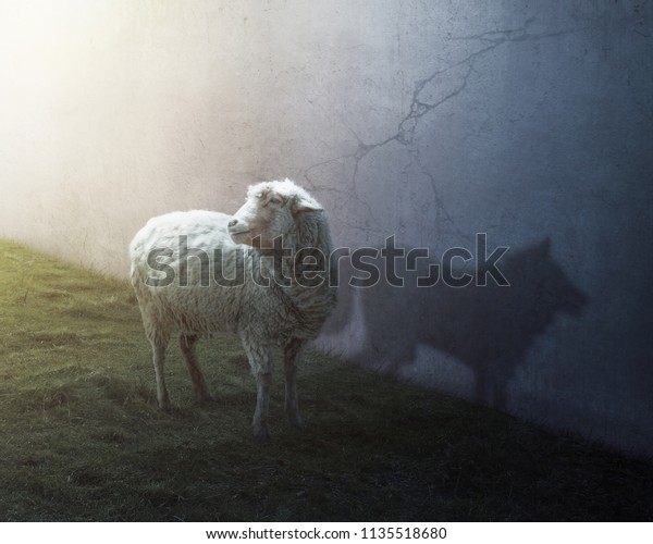 Sheep Shadow Wolf Stock Photo (Edit Now) 1135518680