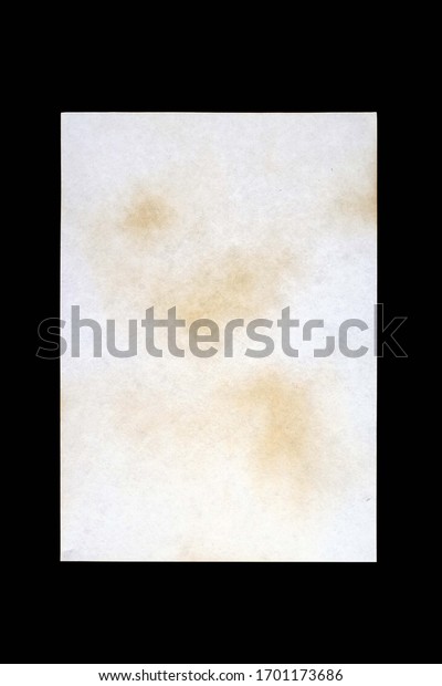 Sheet Old Paper Multiple Damage Fire Stock Photo 1701173686 | Shutterstock