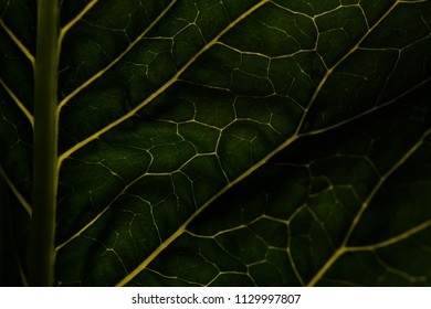 Sheet Shit Background Stock Photo 1129997807 | Shutterstock