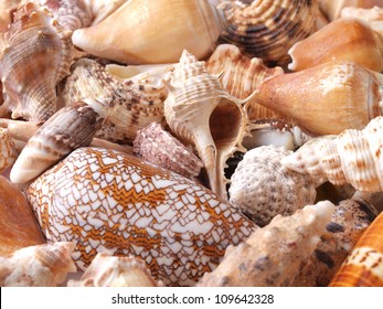 9,960 Sand collage Images, Stock Photos & Vectors | Shutterstock