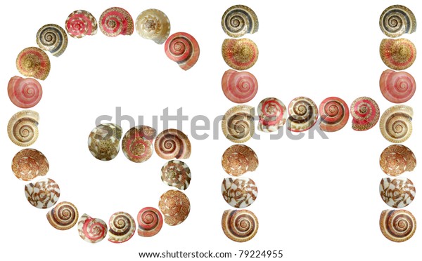 Shell Alphabet White Background Isolated Stock Photo 79224955 ...