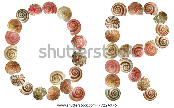 Shell Alphabet White Background Isolated Stock Photo 79224976 ...