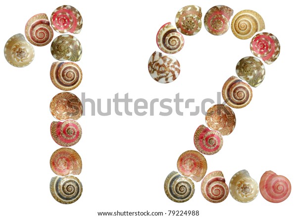 Shell Alphabet White Background Isolated Stock Photo 79224988 ...