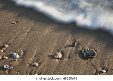 Shell Between Waves On Beach Stock Photo 69550675 | Shutterstock