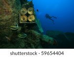 Shell Cases And Diver PPT template 4 | CrystalGraphics