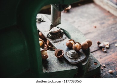 Shell Cracker Cracking Macadamia Open Macadamia Stock Photo 1177328065 ...