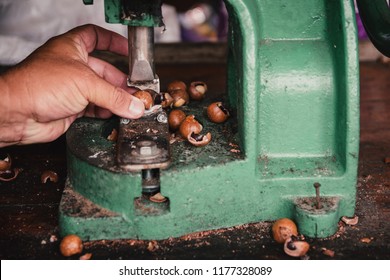 Shell Cracker Cracking Macadamia Open Macadamia Stock Photo 1177328089 ...