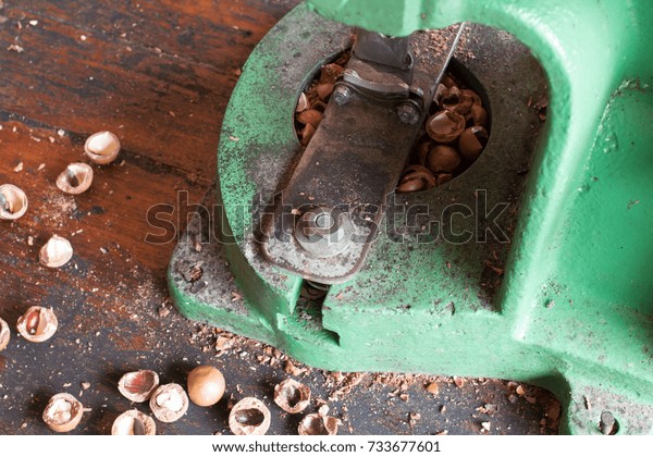 Shell Cracker Cracking Macadamia Open Macadamia Stock Photo 733677601 ...